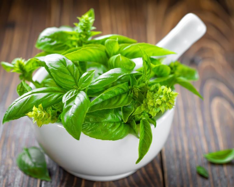 9 Powerful Sage Substitute Options To Consider