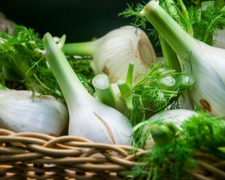 11 Ultimate Anise Substitute Spices To Test Out