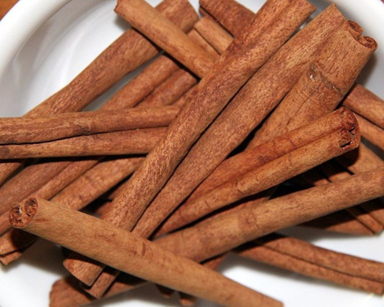 Canela Cinnamon: A Staple Spice In Mexican Cuisine