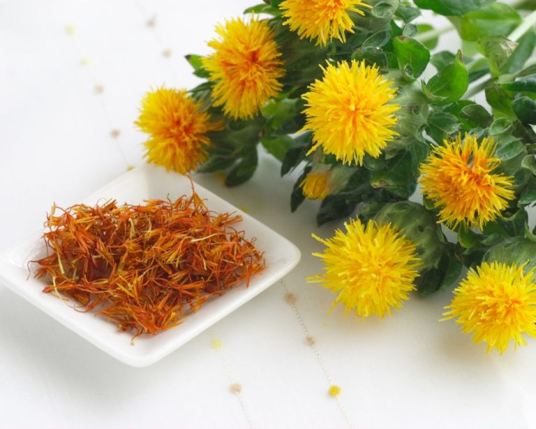 6 Best Powders To Use As Annatto Substitute