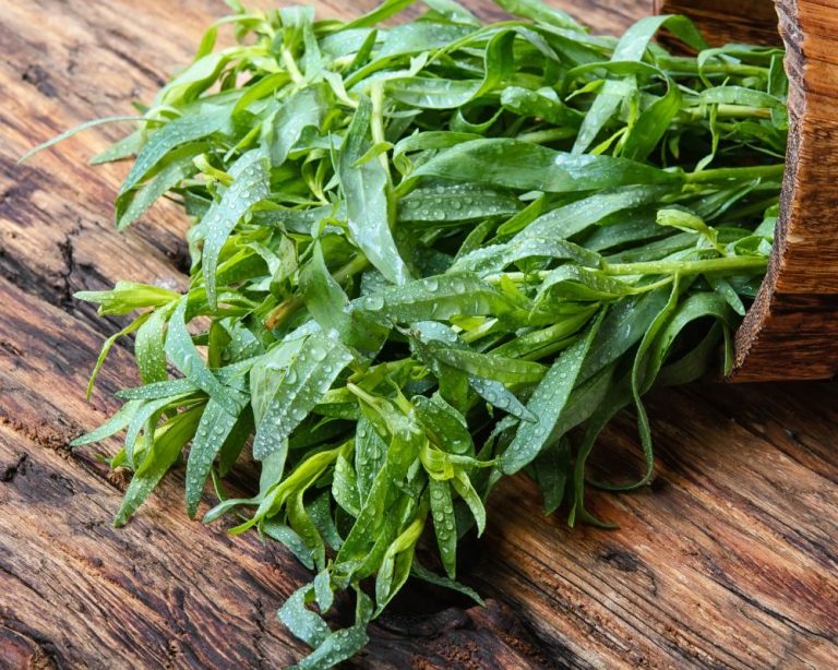 Fresh Dill Vs. Dill Weed: How Do They Compare?