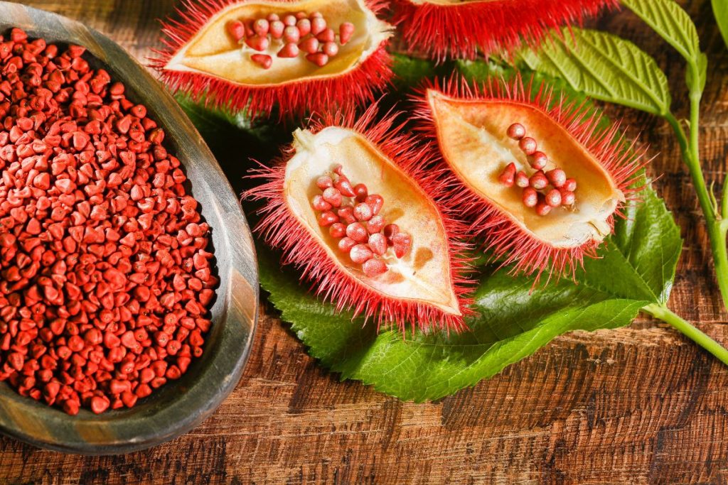 6 Best Powders To Use As Annatto Substitute