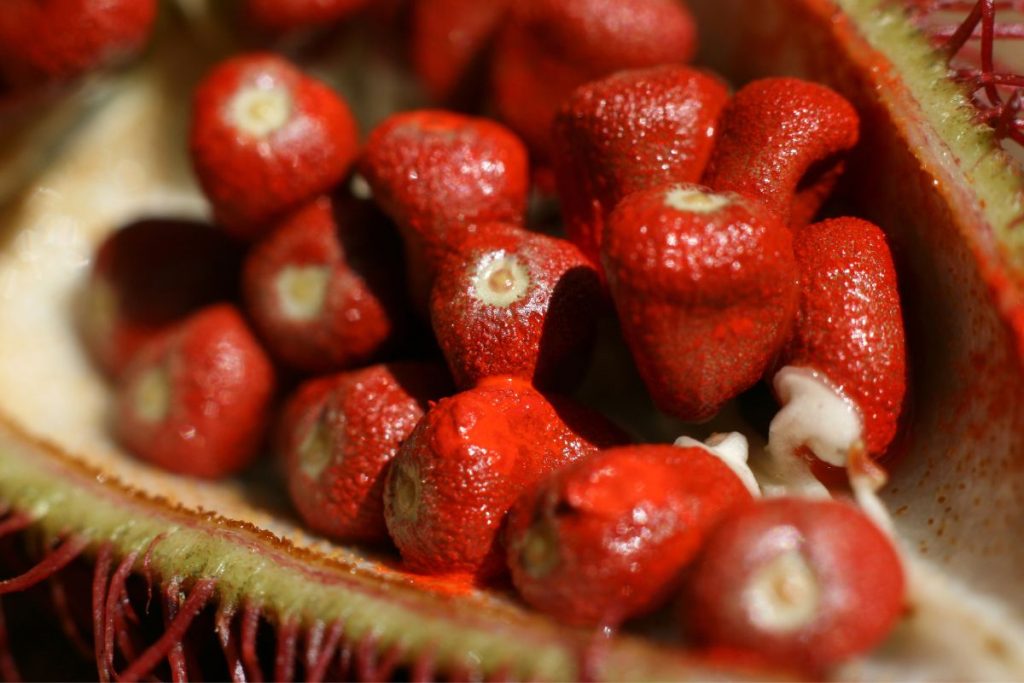 Annatto Powder: A Vibrant, Brick-red Spice | Spice Gourmand