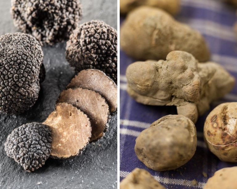 Truffle Salt: Best Uses & Where To Buy | Spice Gourmand