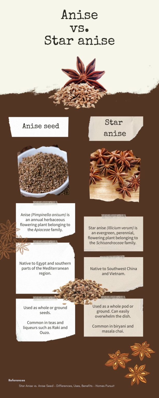 Anise Seed Vs. Star Anise: Similarities And Differences