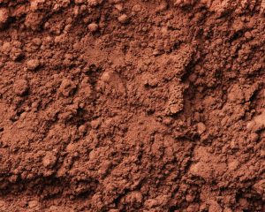 Molasses Powder: The Best Alternative To Liquid Molasses