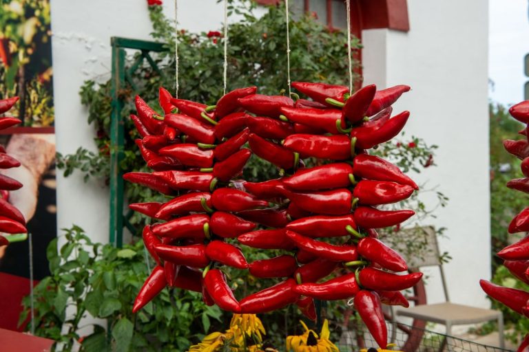 Piment D'espelette: The Most Popular Chilies In France
