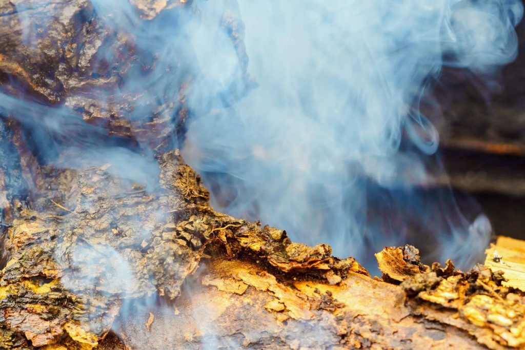 Why You Need Smoke Powder In Your Kitchen | Spice Gourmand