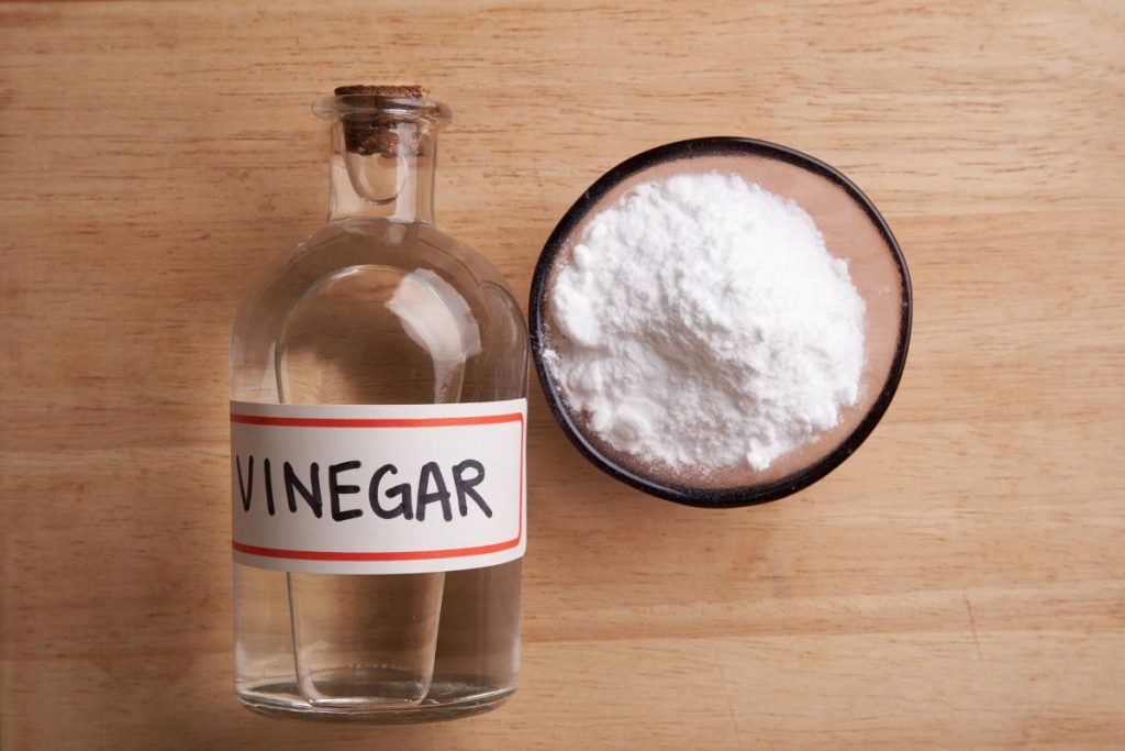 Vinegar Powder: A Unique Flavoring Agent | Spice Gourmand
