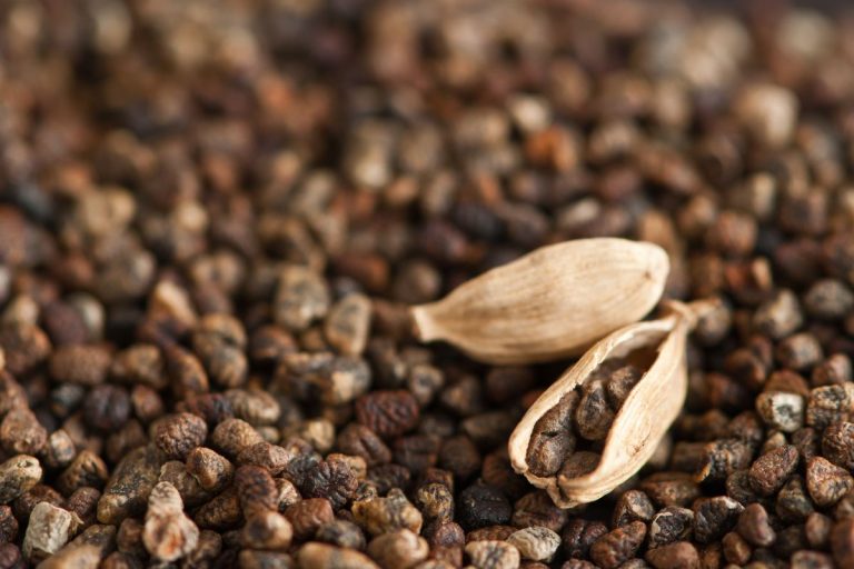 How To Use Chinese Black Cardamom (Best Recipes Included)