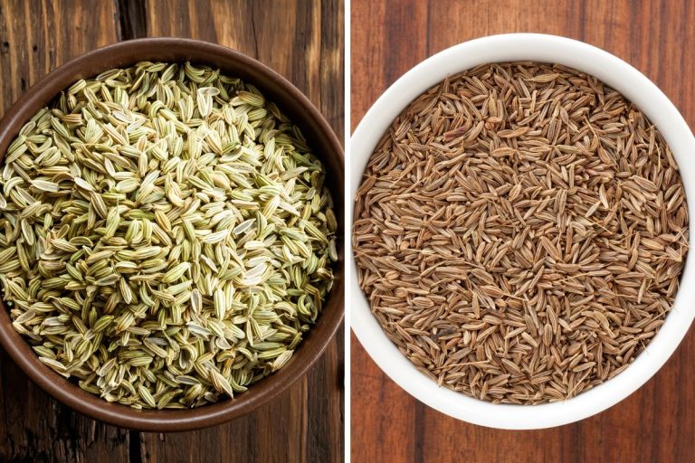 Fennel Vs. Caraway: Hints Of Anise-like Flavor