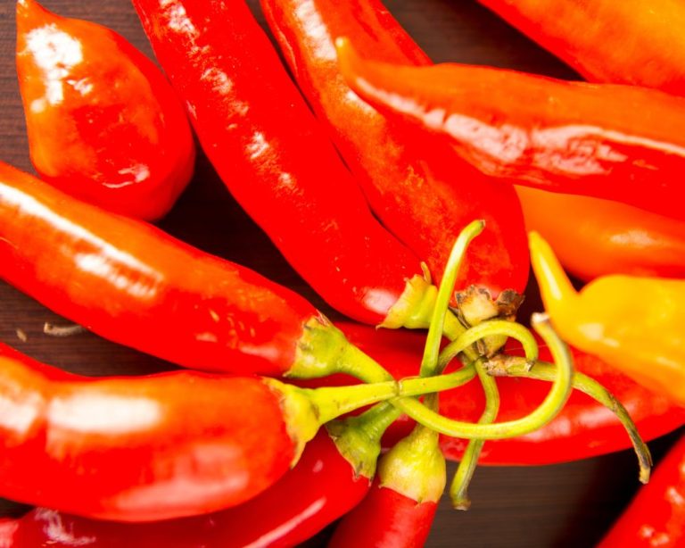 Aji Chile: A Star Ingredient Of Aji Chile Sauce
