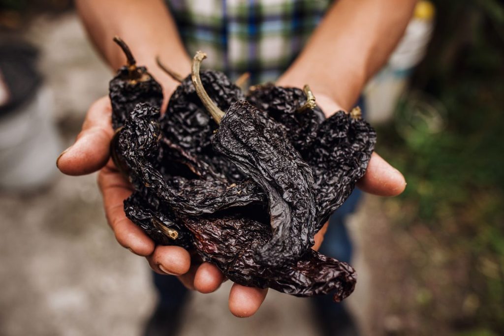 How To Cook With Dried Ancho Chiles (with Recipes)