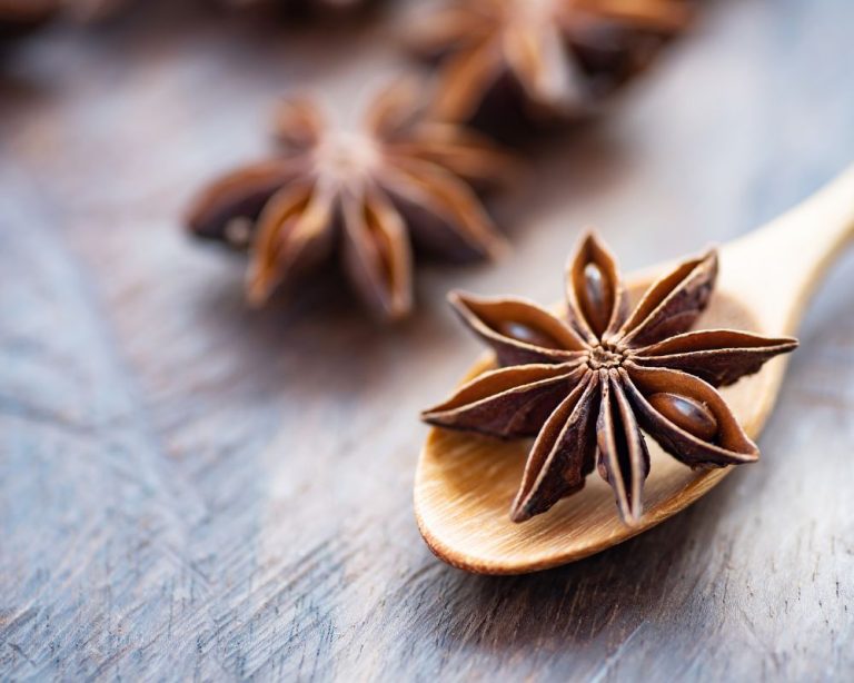 4 Types Of Spicy & 15 Must-have Spices (table)
