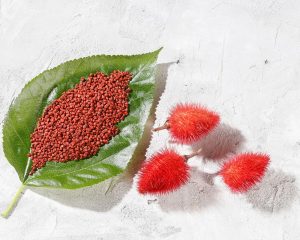 What Are The Ultimate 11 Cuban Spices? | Spice Gourmand