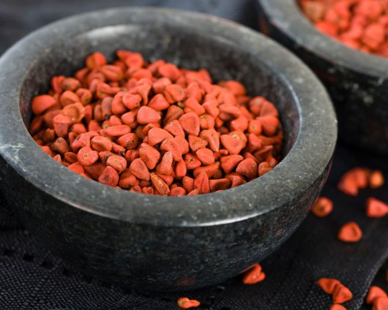 Recado Rojo: Heat, Uses & Recipes | Spice Gourmand