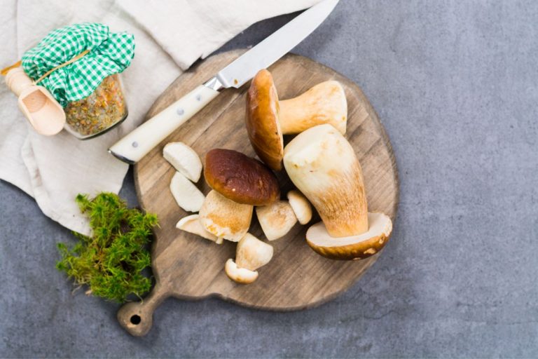 Cepes Mushroom: Uses & Recipes | Spice Gourmand