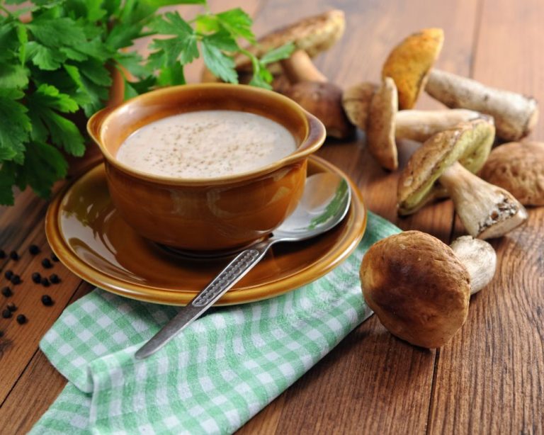 Cepes Mushroom: Uses & Recipes | Spice Gourmand