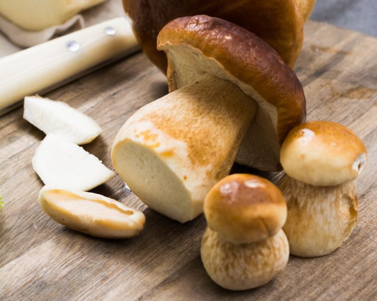 Cepes Mushroom: Uses & Recipes | Spice Gourmand