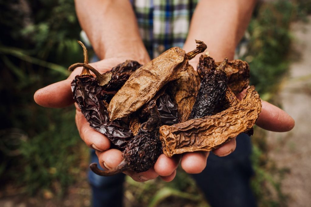Our Ultimate Guide To Chipotle Peppers | Spice Gourmand