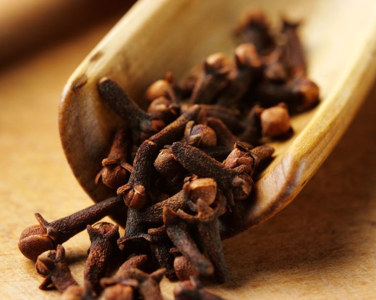 Recado Rojo: Heat, Uses & Recipes | Spice Gourmand