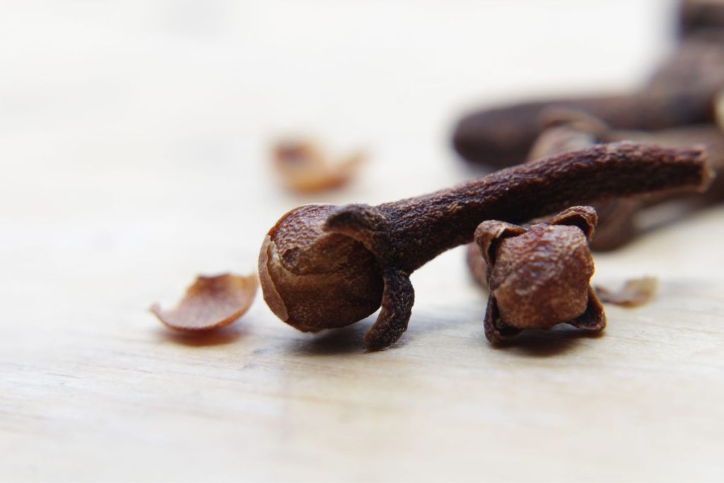 What Does A Clove Taste Like? | Spice Gourmand