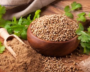 Recado Rojo: Heat, Uses & Recipes | Spice Gourmand