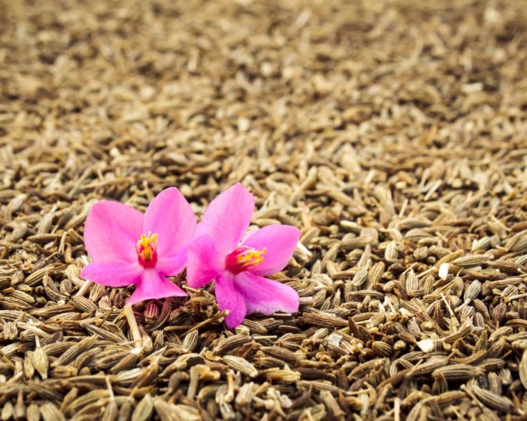 6 Spices For Turkish Rice Recipes (şehriyeli Pilav)