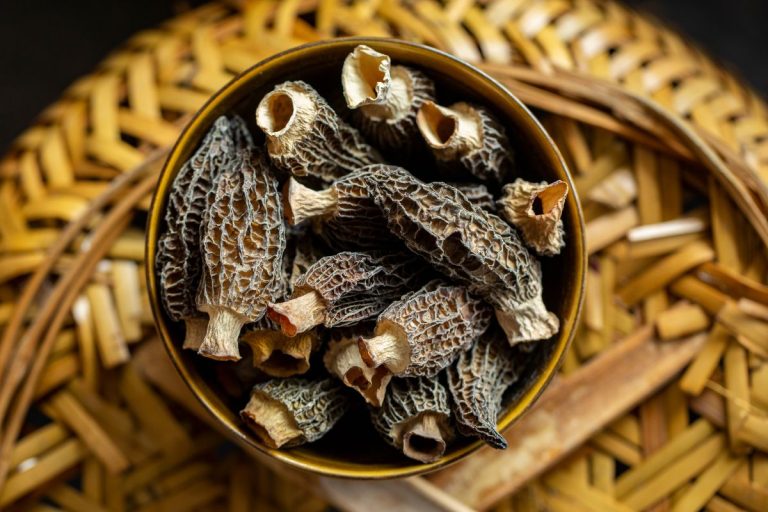 12 Dried Morel Mushrooms Recipe Ideas | Spice Gourmand