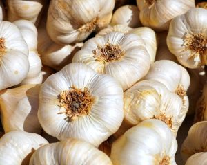 What Are The Ultimate 11 Cuban Spices? | Spice Gourmand