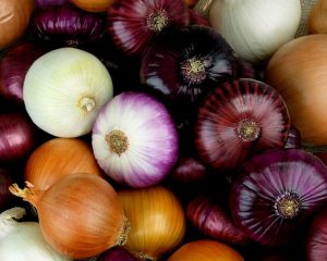 What Are The Ultimate 11 Cuban Spices? | Spice Gourmand