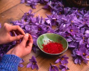 What Are The Best 11 Paella Spices? | Spice Gourmand