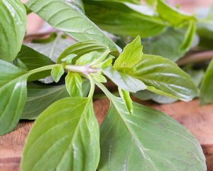 Our Ultimate List Of Thai Food Spices & Herbs