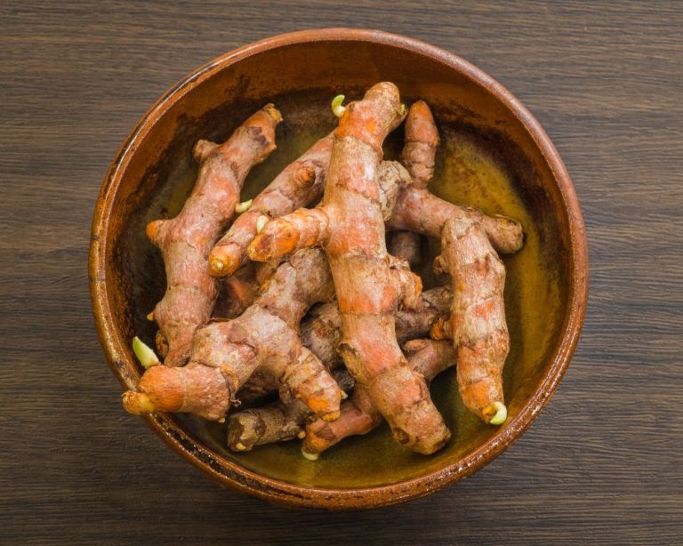 Our Ultimate List Of Thai Food Spices & Herbs